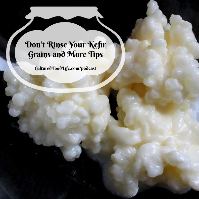 Cultured Food Life Podcast - Cultured Food Life