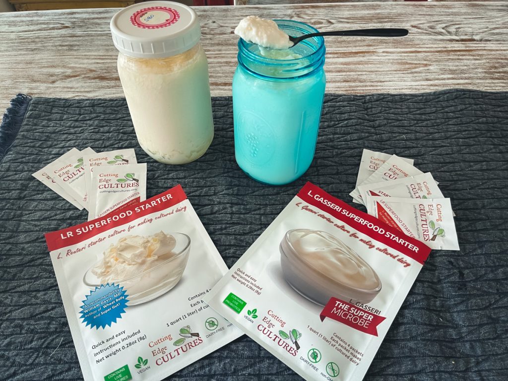 SIBO Yogurt Kit - Cultured Food Life