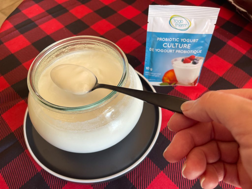 Bulgarian Yogurt - Cultured Food Life