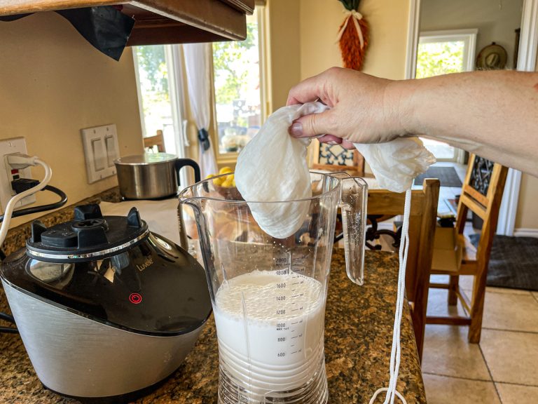 Homemade Coconut Milk — Yogurt Plus - Cultured Food Life