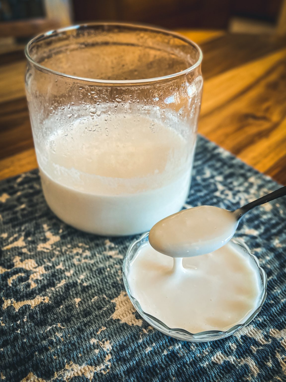 Dairy-Free Yogurts: L. Reuteri and More - Cultured Food Life