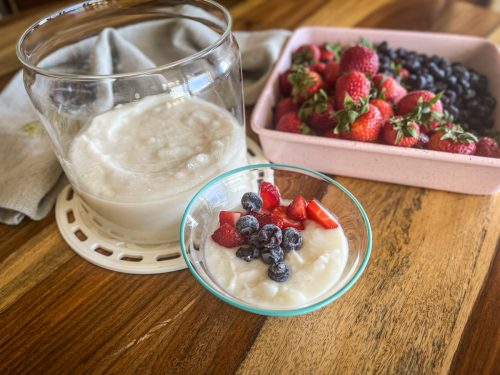 Dairy-Free Yogurts: L. Reuteri and More - Cultured Food Life