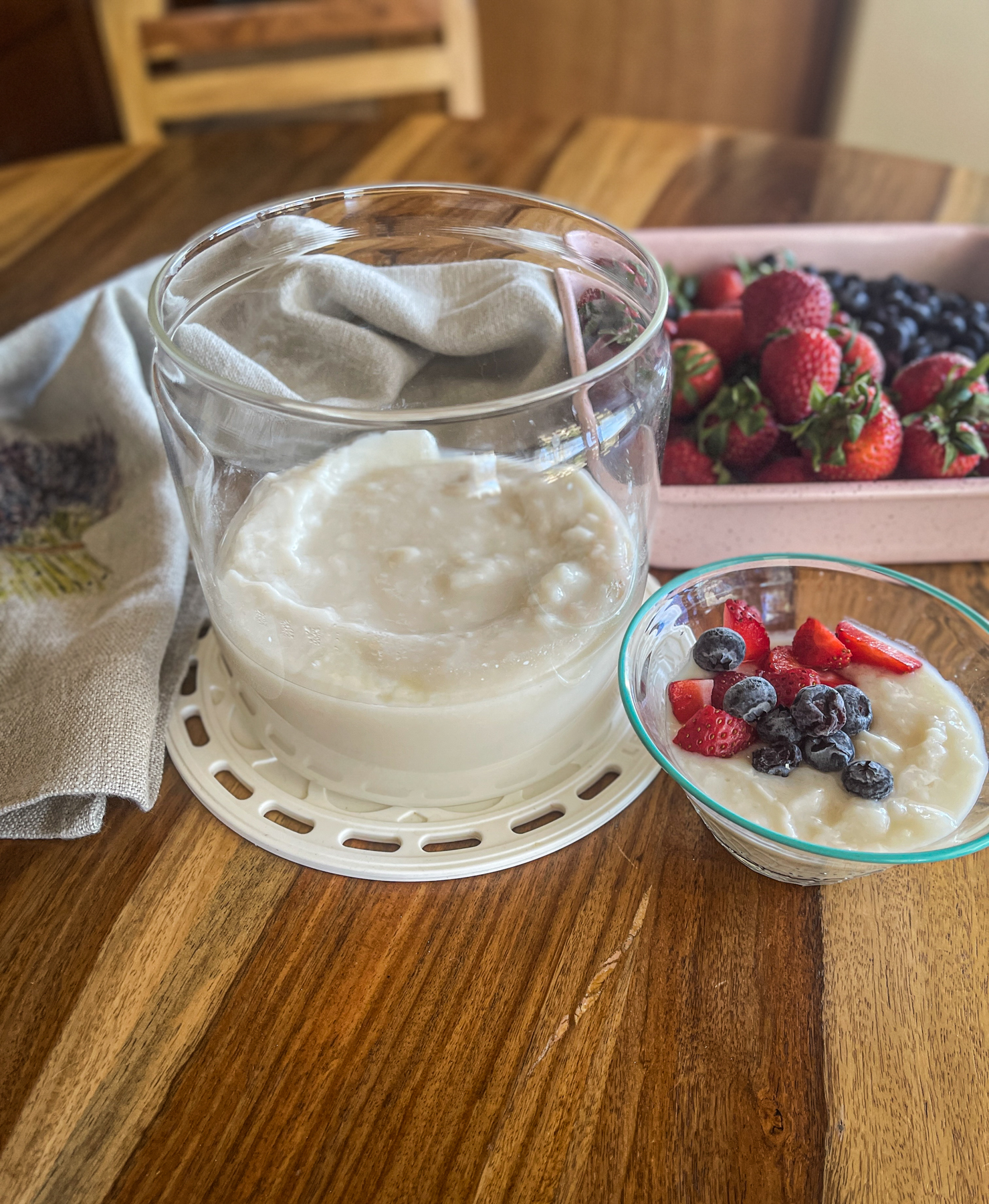 Dairy-Free Yogurts: L. Reuteri and More - Cultured Food Life