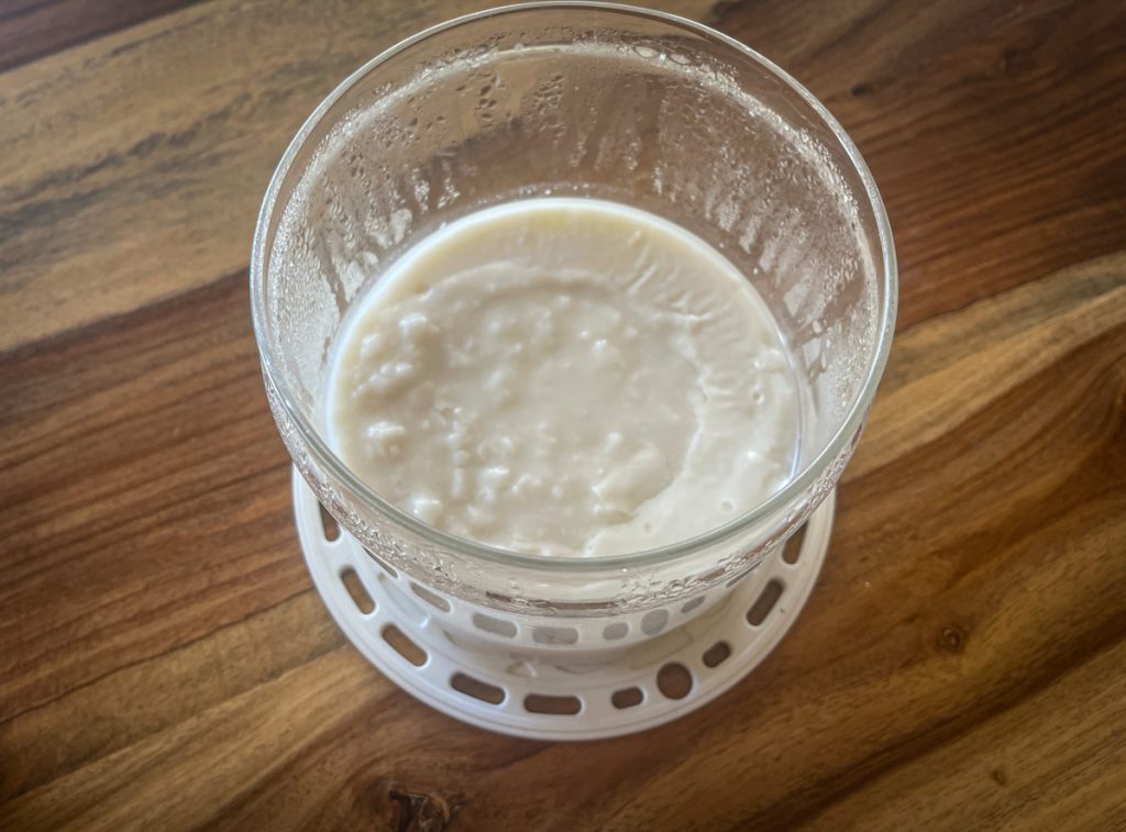 Homemade Oat Milk — Yogurt Plus - Cultured Food Life