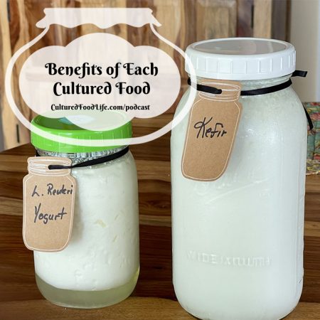 Welcome To Cultured Food Life! - Cultured Food Life