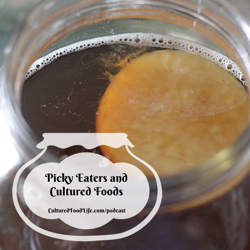 Cultured Food Life Podcast - Cultured Food Life