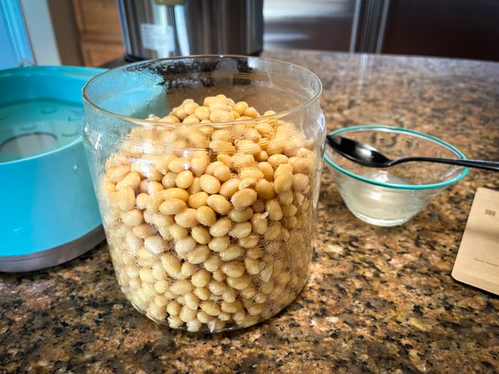 Fermented Natto - Cultured Food Life