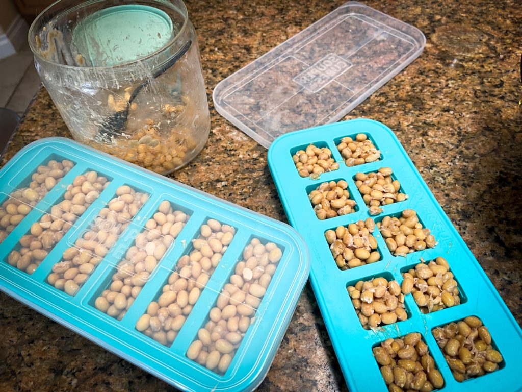 Natto Starter - Cultured Food Life