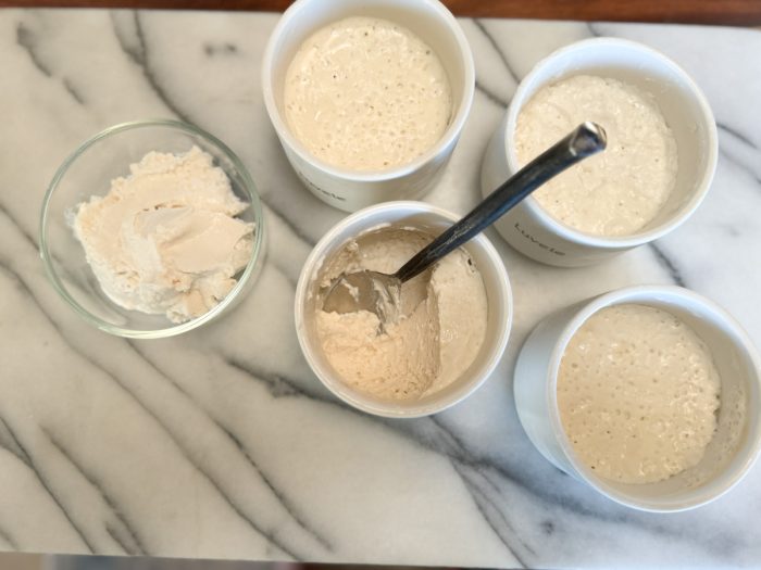 L. Reuteri Yogurt Recipes - Cultured Food Life