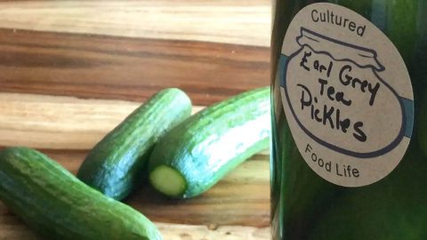 Videos Archive - Cultured Food Life