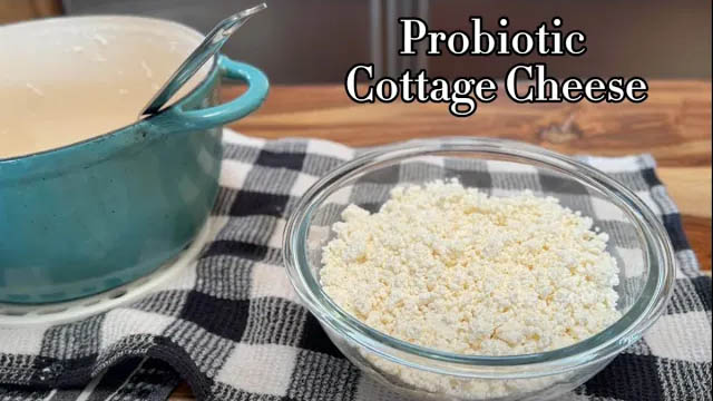 Probiotic Cottage Cheese - Cultured Food Life