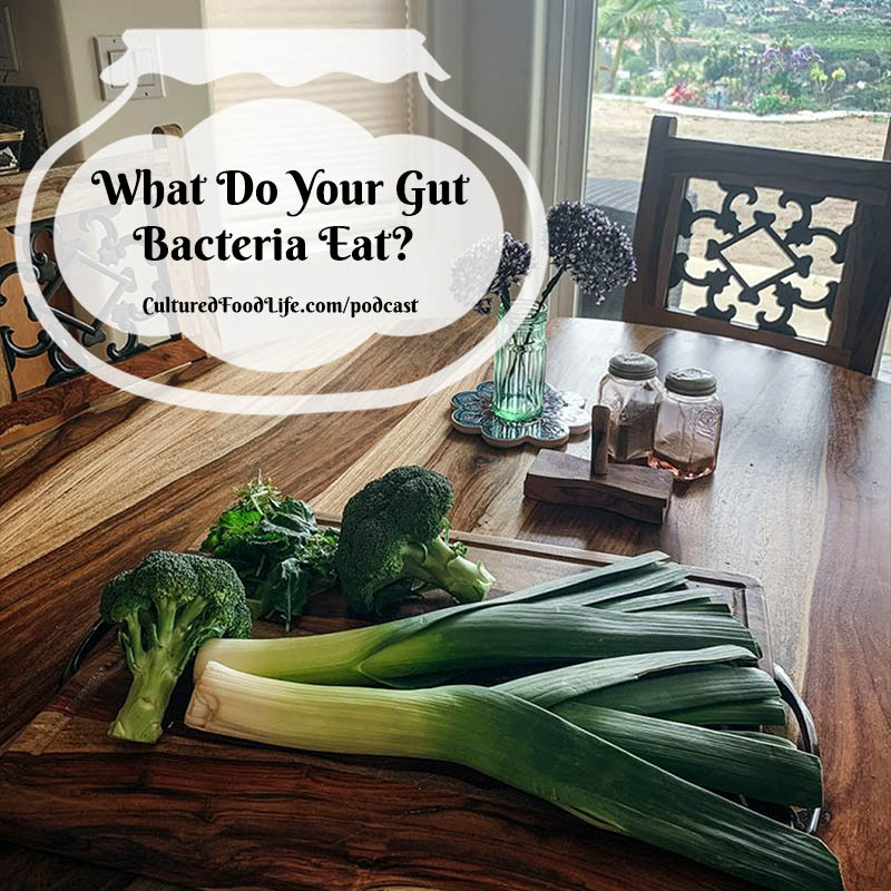 Episode 255: More Benefits of L. Reuteri Yogurt with Dr. Davis ...