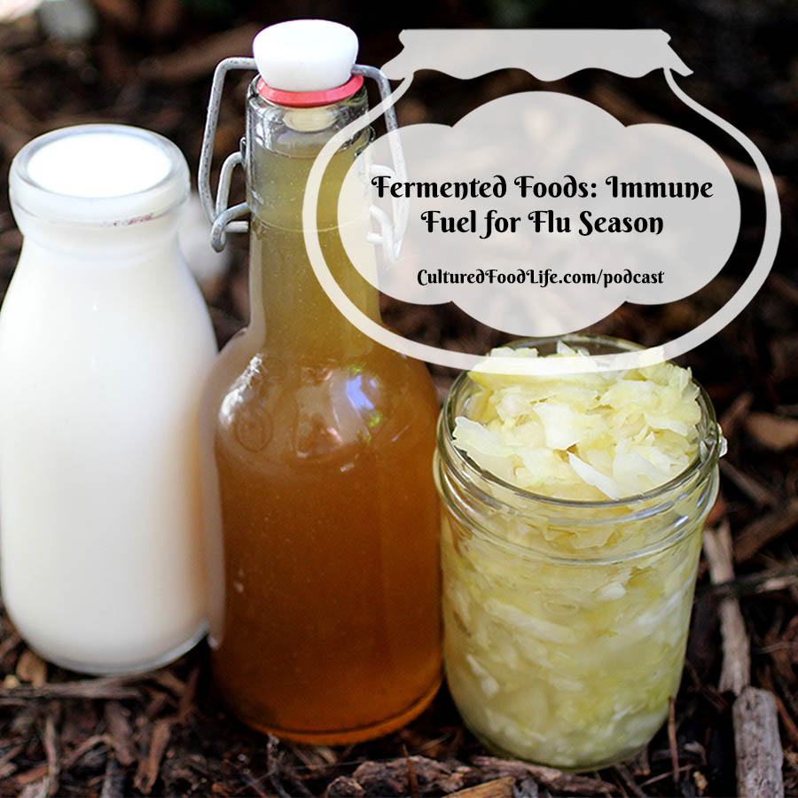 Episode 194: The Many Reasons to make L. Reuteri Superfood Yogurt ...