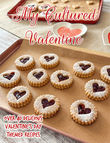 How To Make The Probiotic That Inhibits Candida - Cultured Food Life