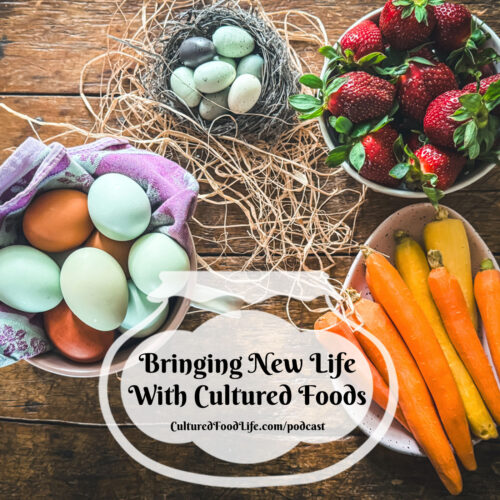 Cultured Food Life Podcast - Cultured Food Life