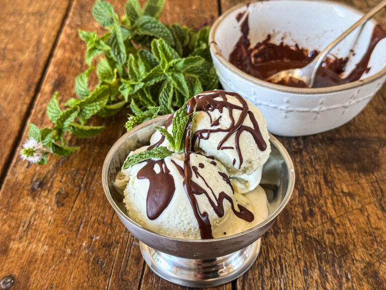 The Secrets To Probiotic Sugar-Free Ice Cream - Cultured Food Life