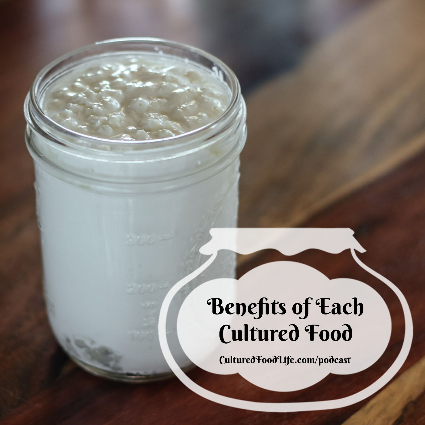 Welcome To Cultured Food Life! - Cultured Food Life
