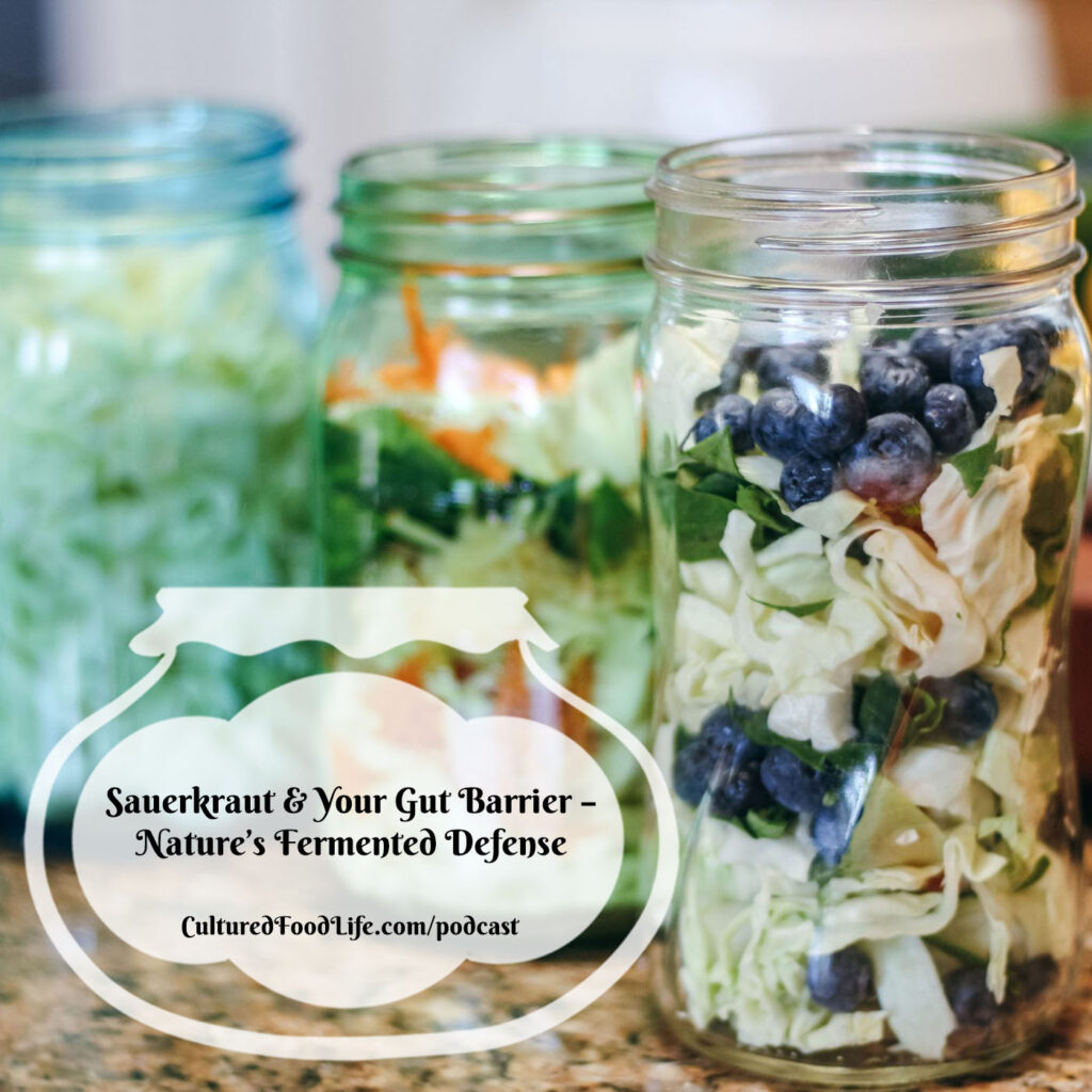 Cultured Food Life Podcast - Cultured Food Life