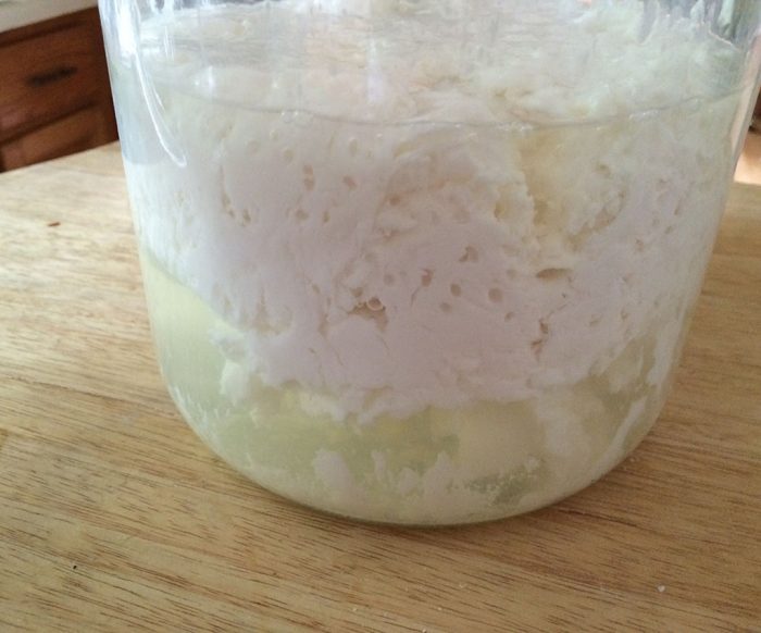 Kefir (Using Live Kefir Grains) - Cultured Food Life